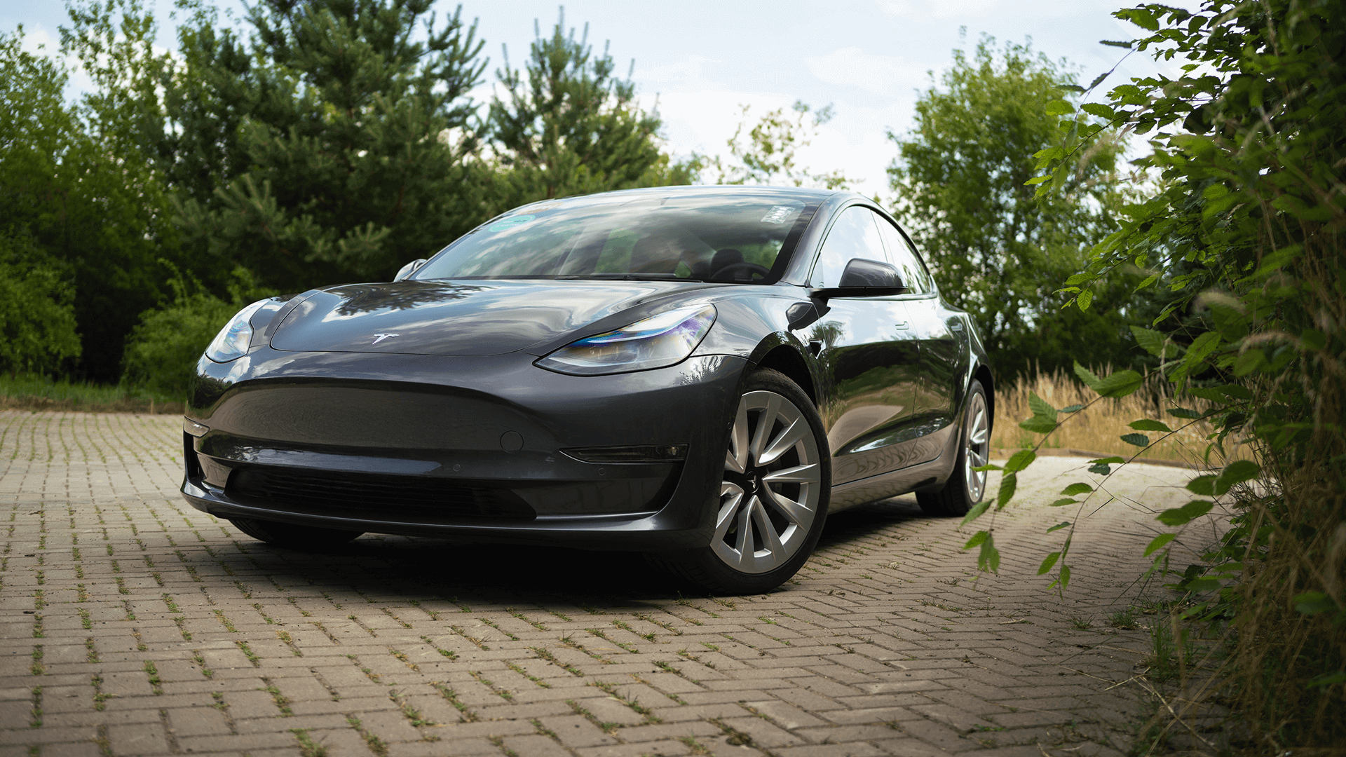 Tesla Model 3 2019 Std Range Plus 52kWh 138950km 239kW